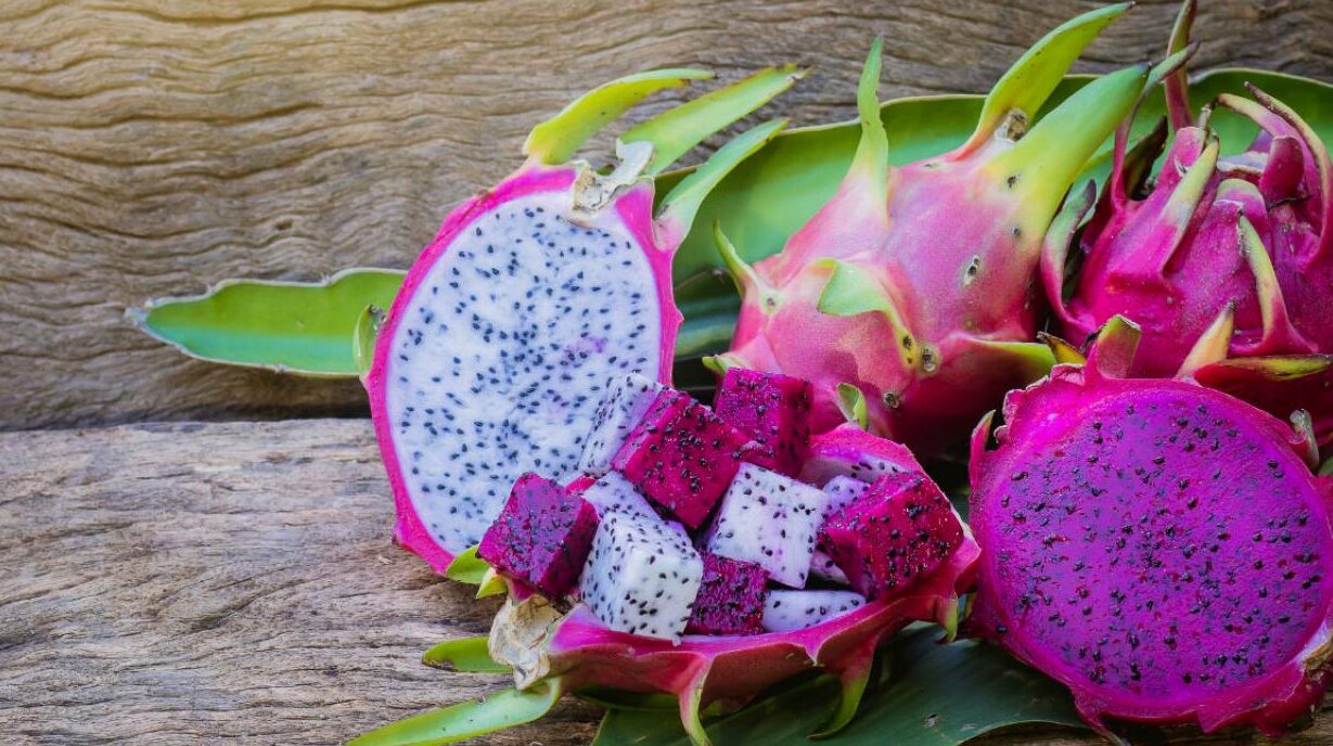 Los Secretos De La Pitahaya En La Tradición Local